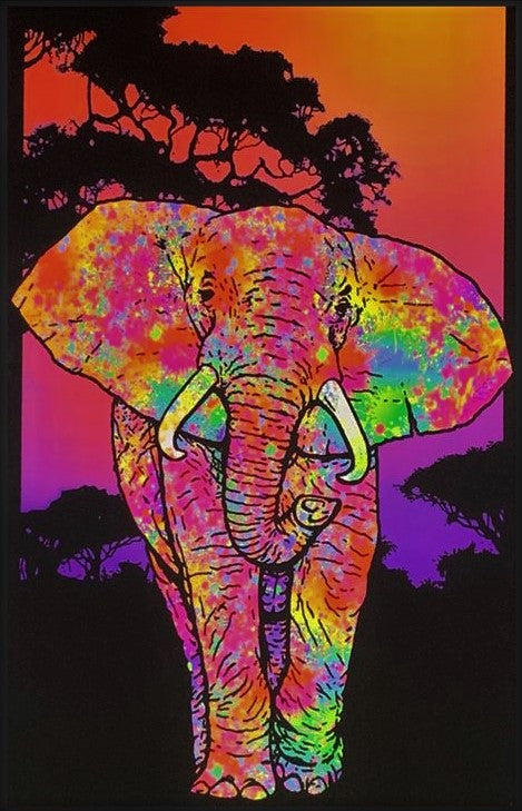 Painted Colorful Elephant - Black Light Poster 23 inches x 35 inches ...